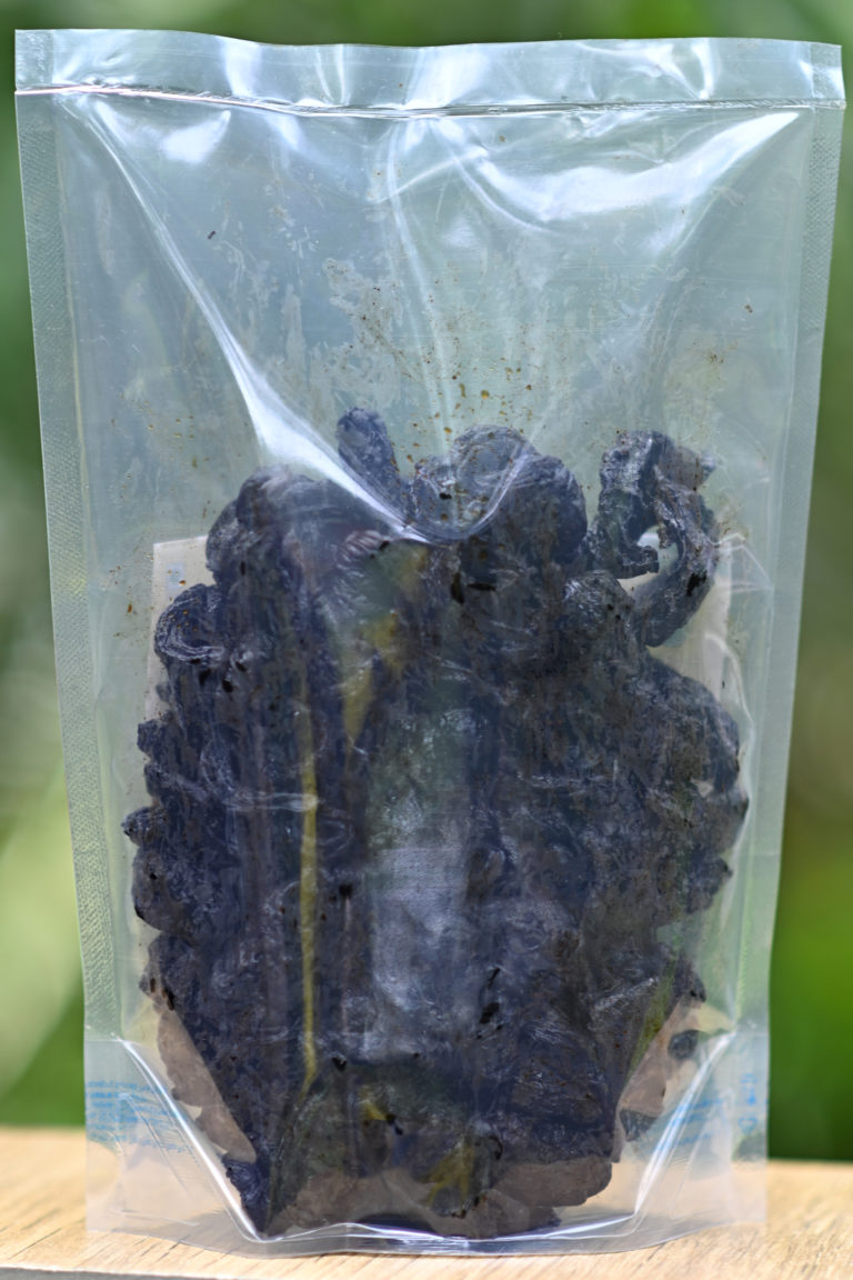 Dried Malabar Tamarind | Kudampuli | The South Indian Store